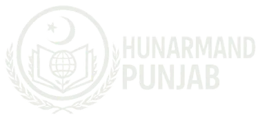 Hunarmand Punjab